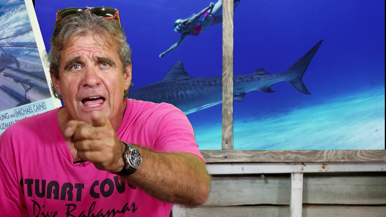 The Truth About Sharks, Last Man Diving - YouTube