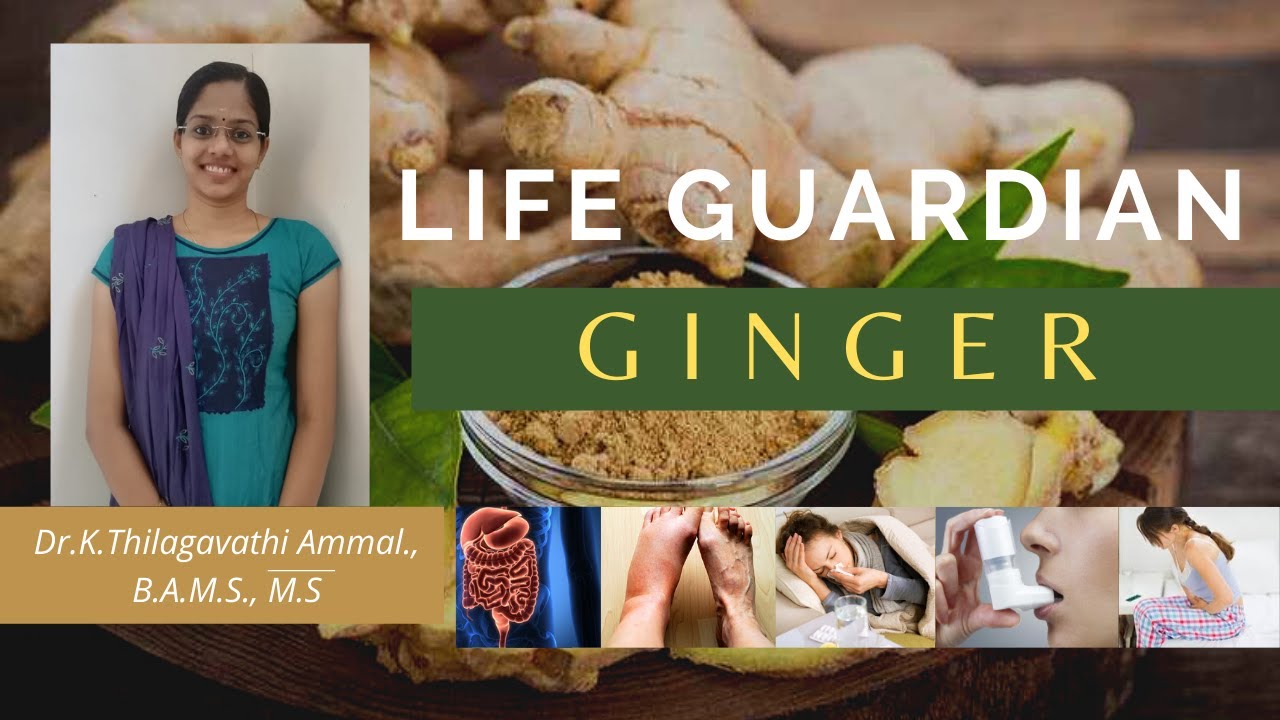 Life Guardian GINGER !! - YouTube