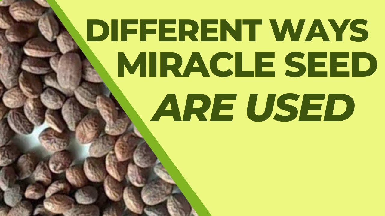 DIFFERENT WAYS YOU CAN USE MIRACLE SEED - YouTube