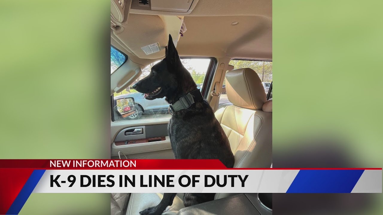 Stolen vehicle pursuit ends in K-9's death - YouTube