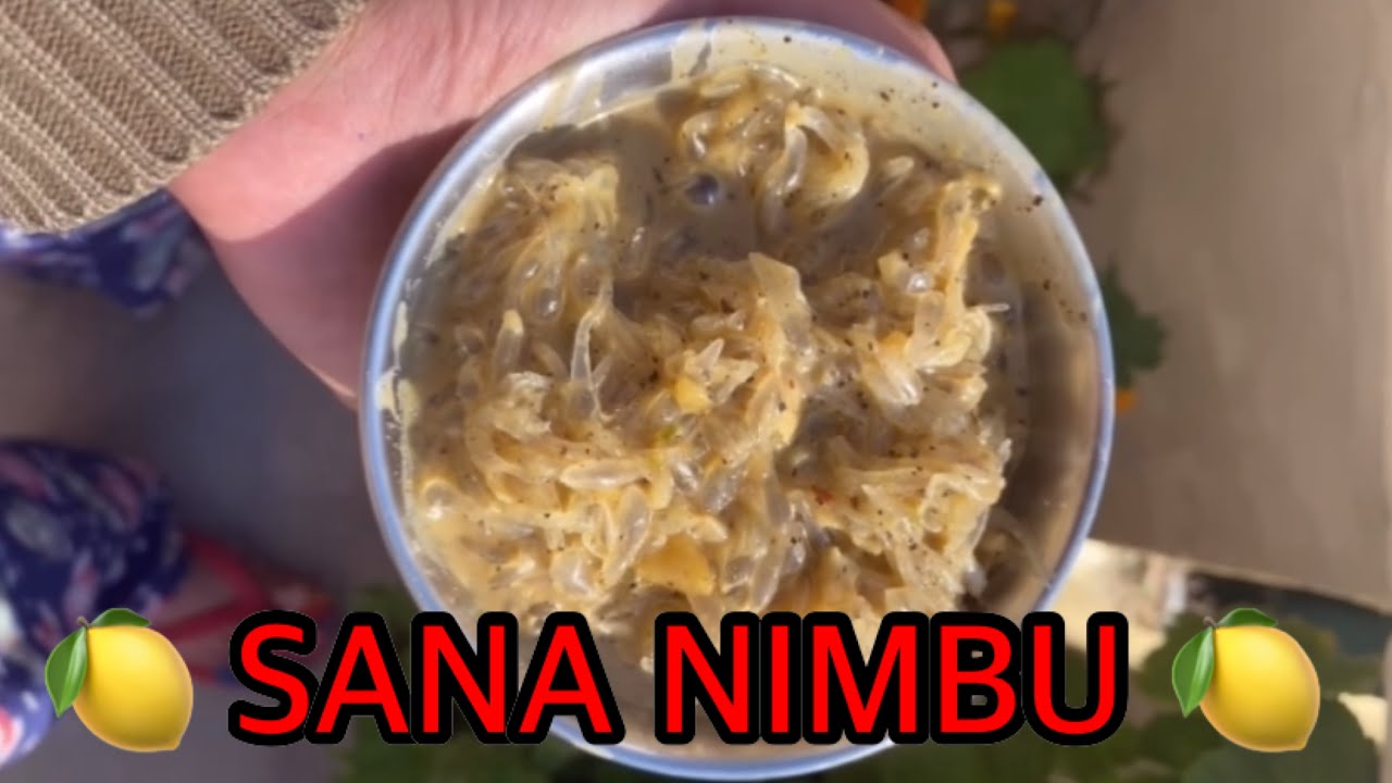 Sana Nimbu 🍋 recipe || Pahadi nimbu 🍋 || new recipe || #nimbu #nainital ...