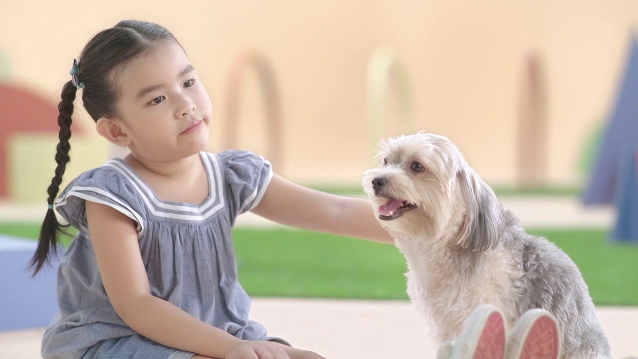 Pedigree® | Kids vs. Dog: Who will win? - YouTube
