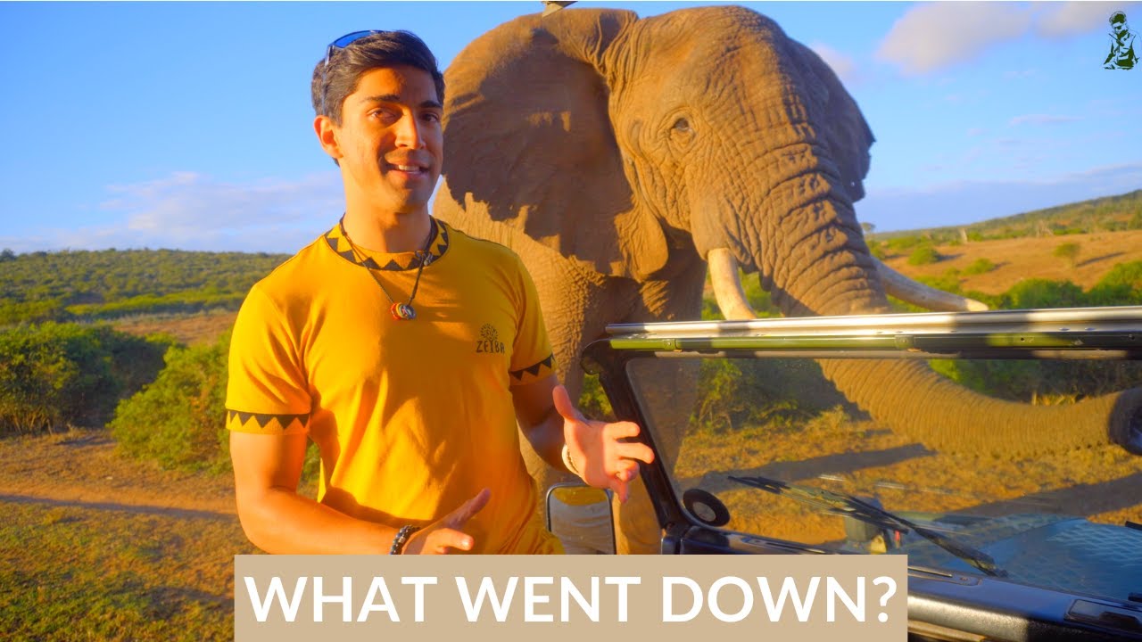 SCARY ENCOUNTER WITH AN AFRICAN ELEPHANT! - YouTube