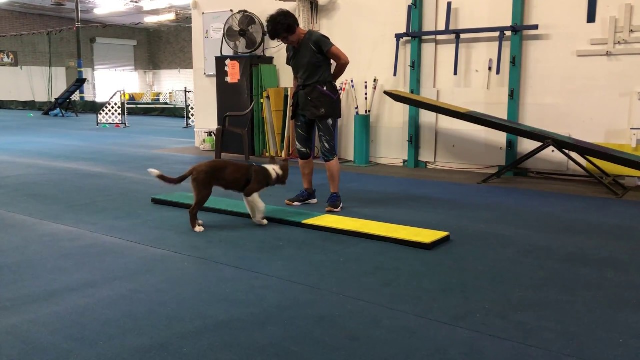 Static Introduced to Plank - YouTube