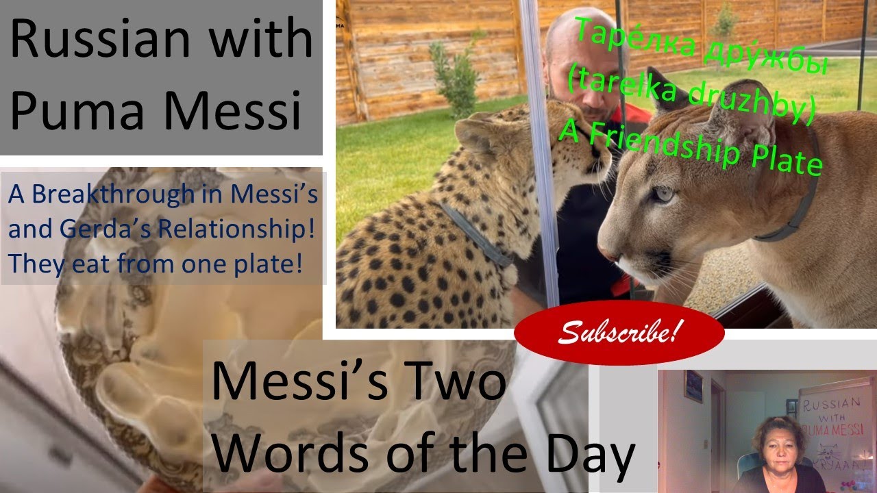 Russian with Puma Messi. Messi's Two Words of the Day. A Friendship ...