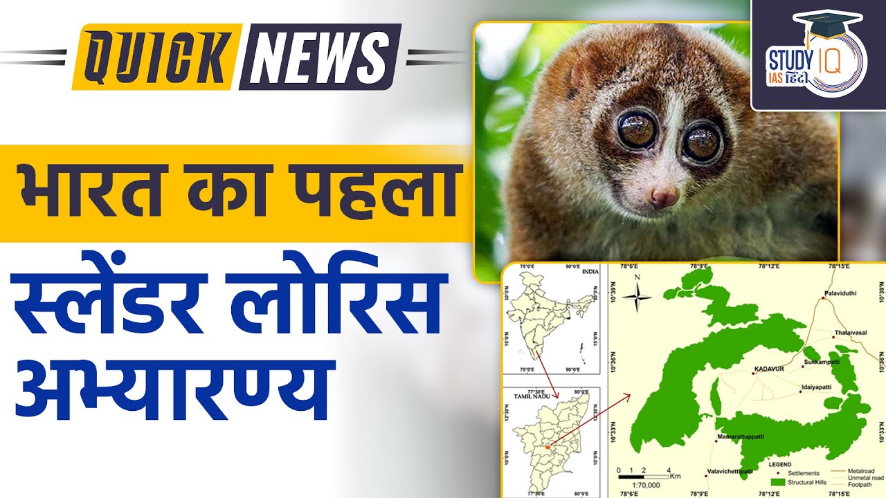 Tamil Nadu Notifies India's First Slender Loris Sanctuary l UPSC 2023 ...