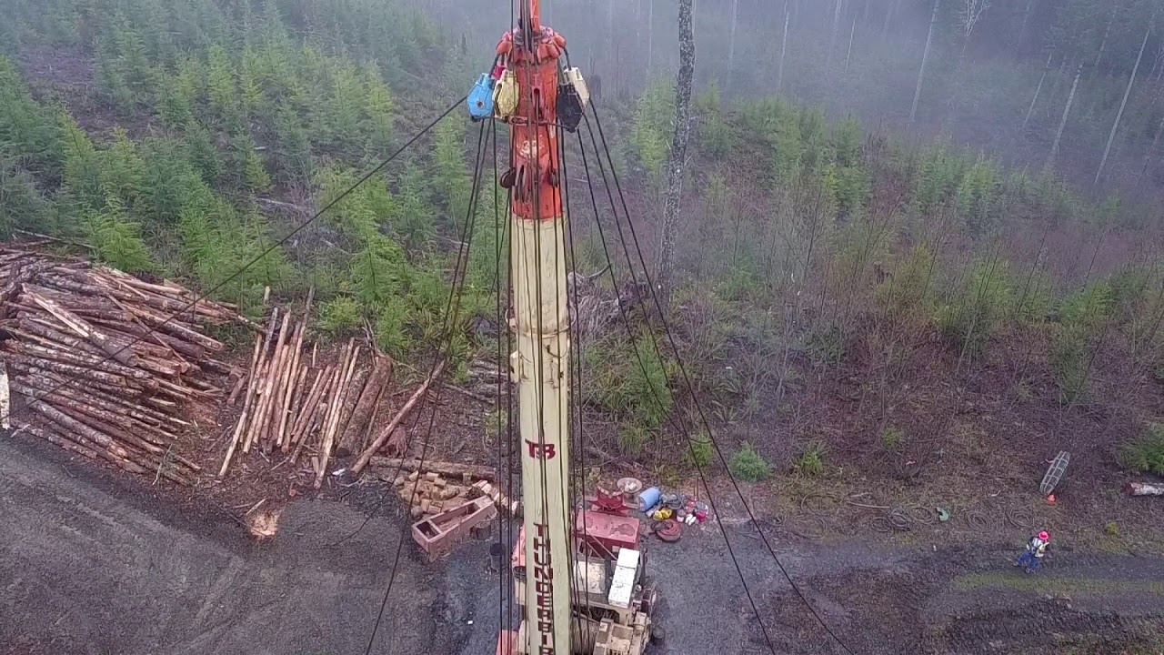 #The Horn #Let’s Vote#Timber Unity - YouTube