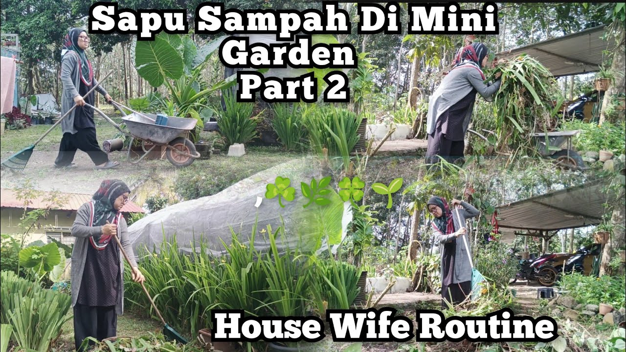 ASMR Sapu Sampah Di Mini Garden Tepi Rumah Part 2/Hidup Sederhana Di ...