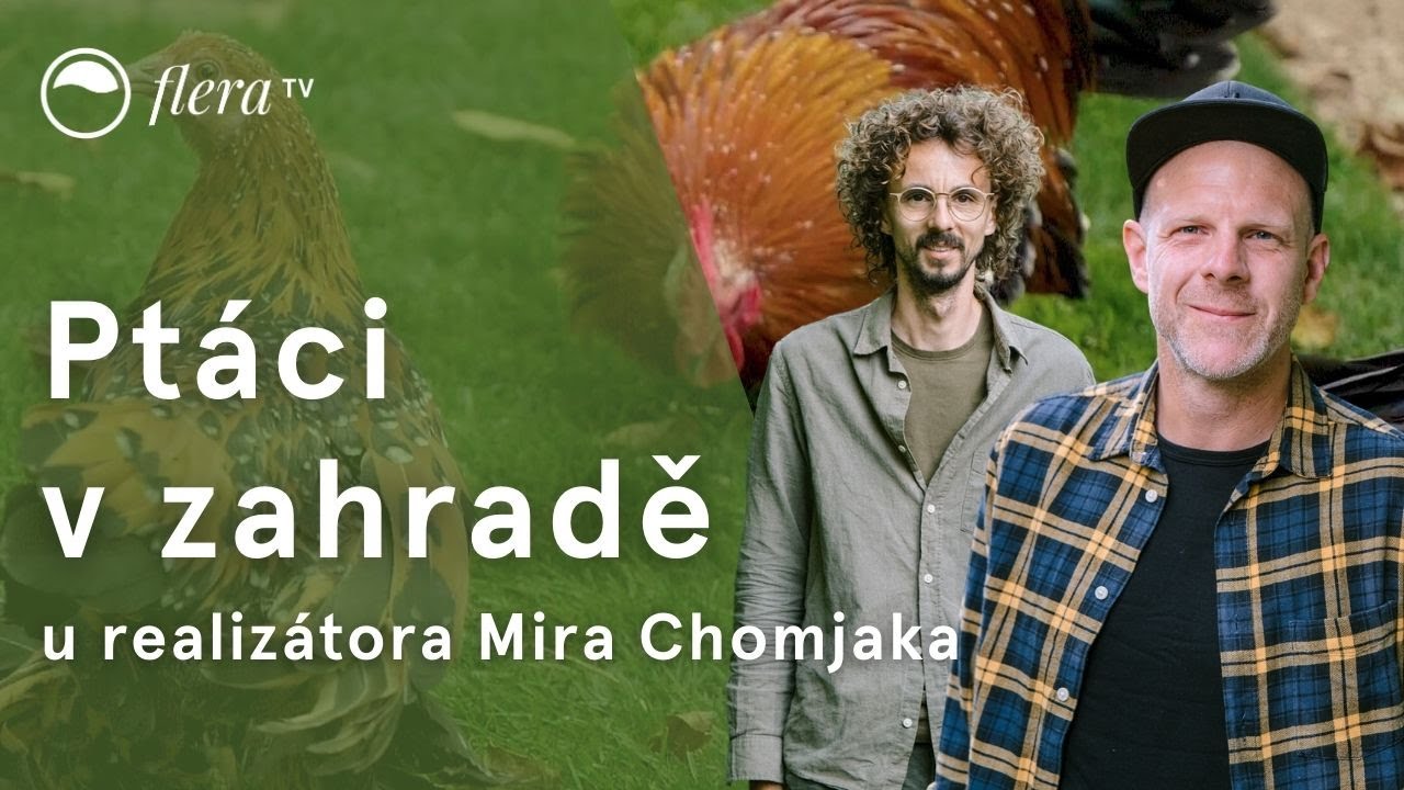 Ptáci v zahradě | Návštěva zahrady realizátora Mira Chomjaka #3 | Flera ...
