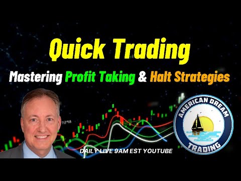 Quick Trading Techniques - Halt Strategies - YouTube
