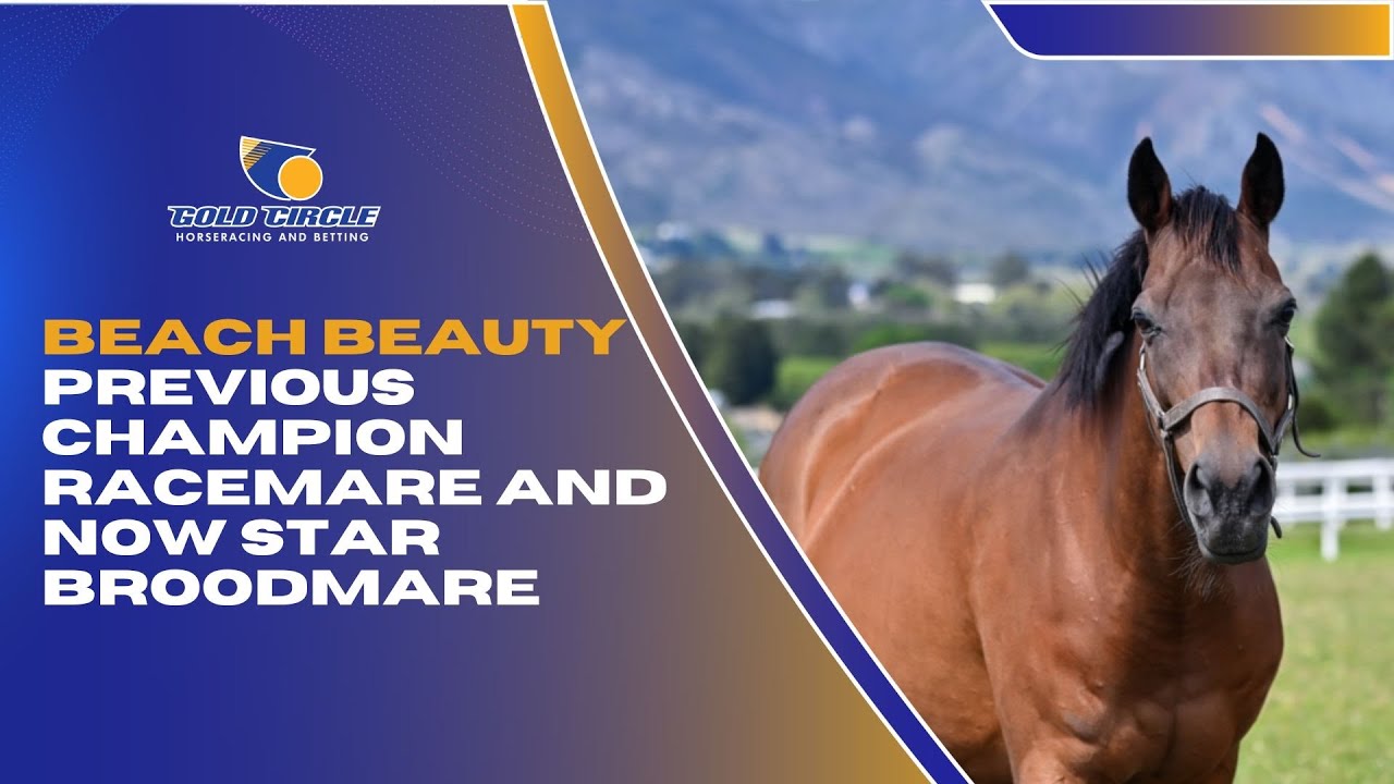 Gallop TV - Watch Live Horse Racing Free