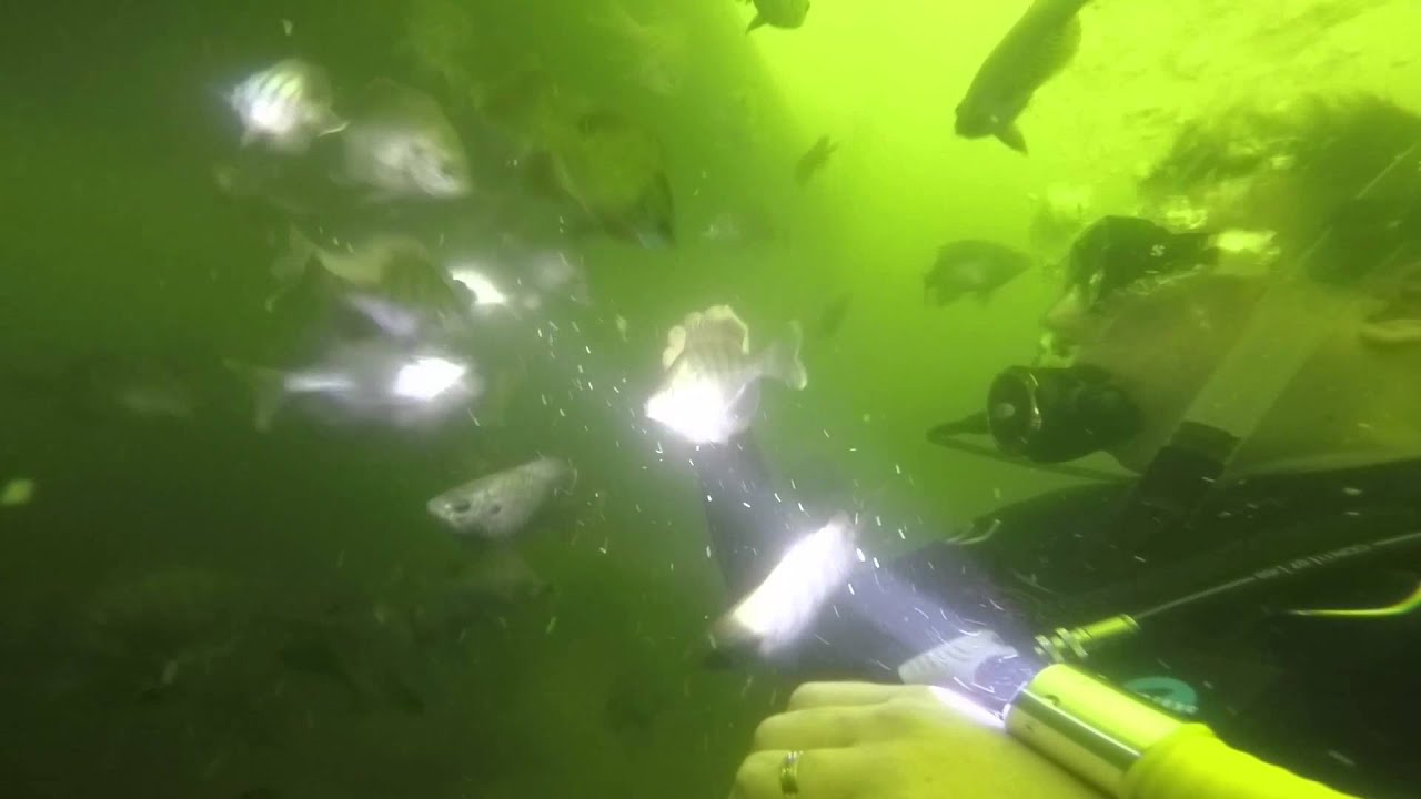 Scuba Dive At Lake Travis - YouTube