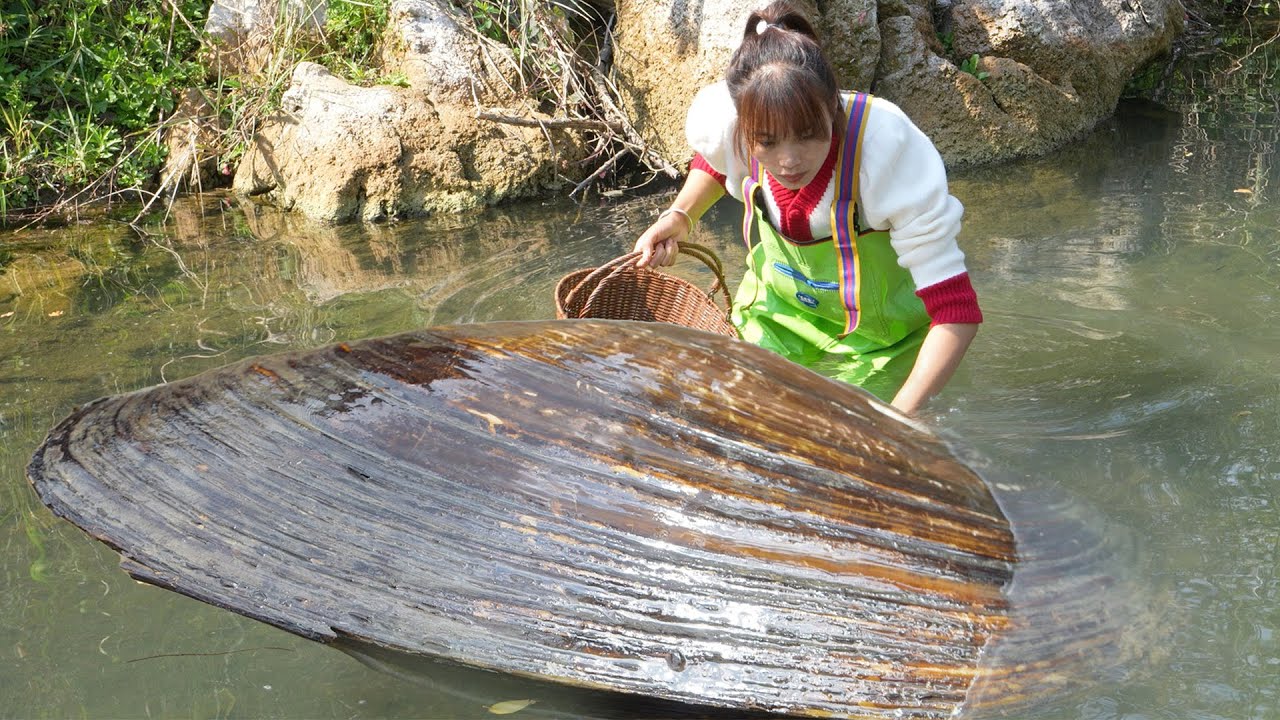 🔥🔥 The Secret Riches of the Mutant Clam: A Teenage Girl's Journey to ...