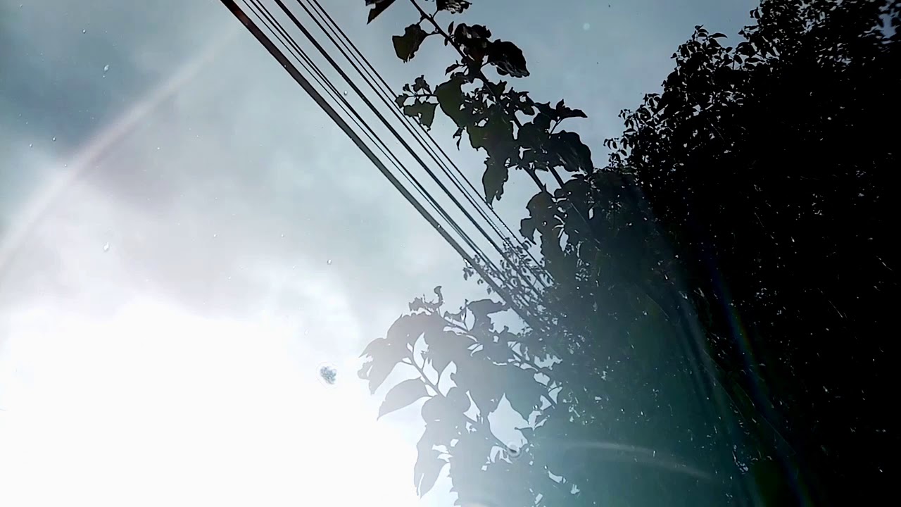 Maggie (music by Elliot Lau) - YouTube