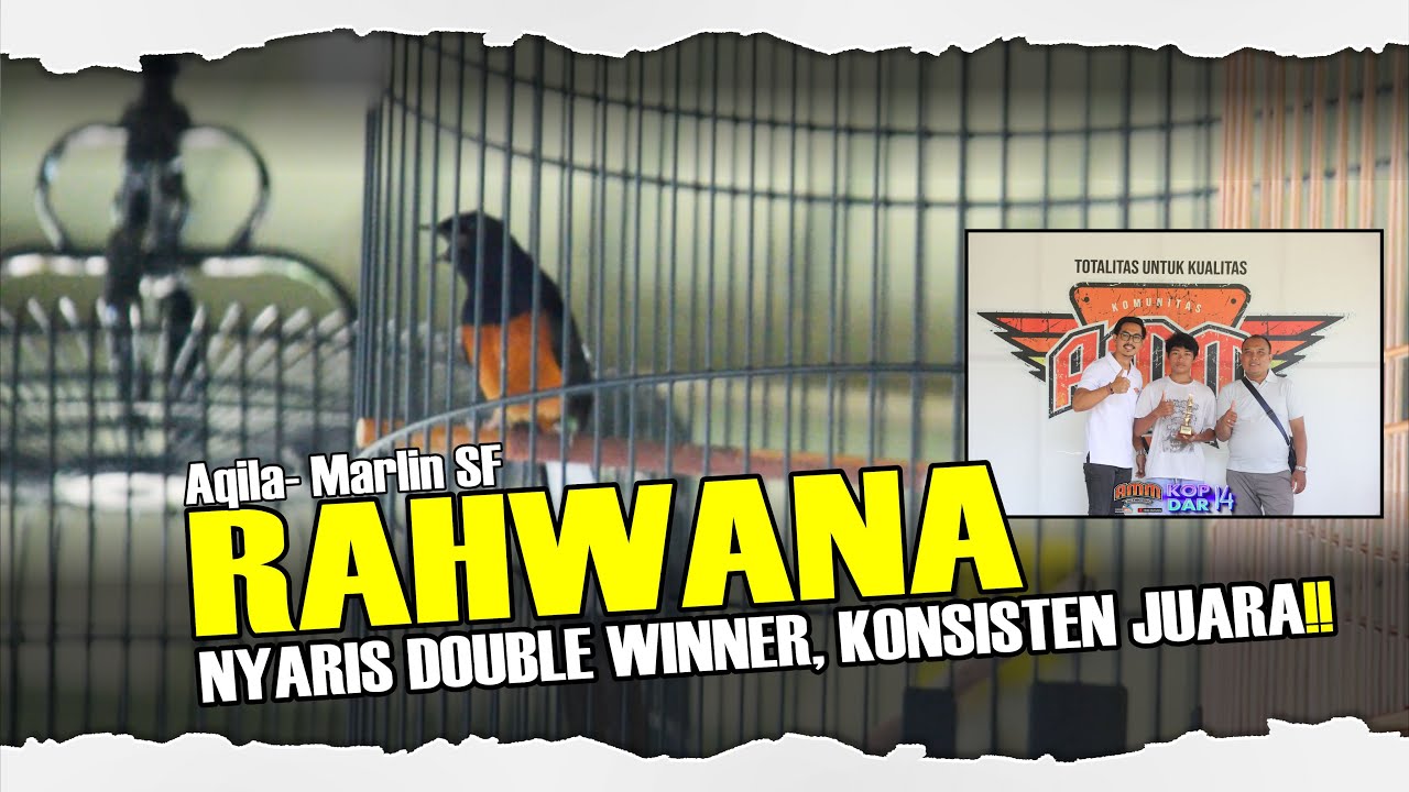Volume Banter🔥Murai batu RAHWANA Nyaris Double Winner-Marlin SF - YouTube