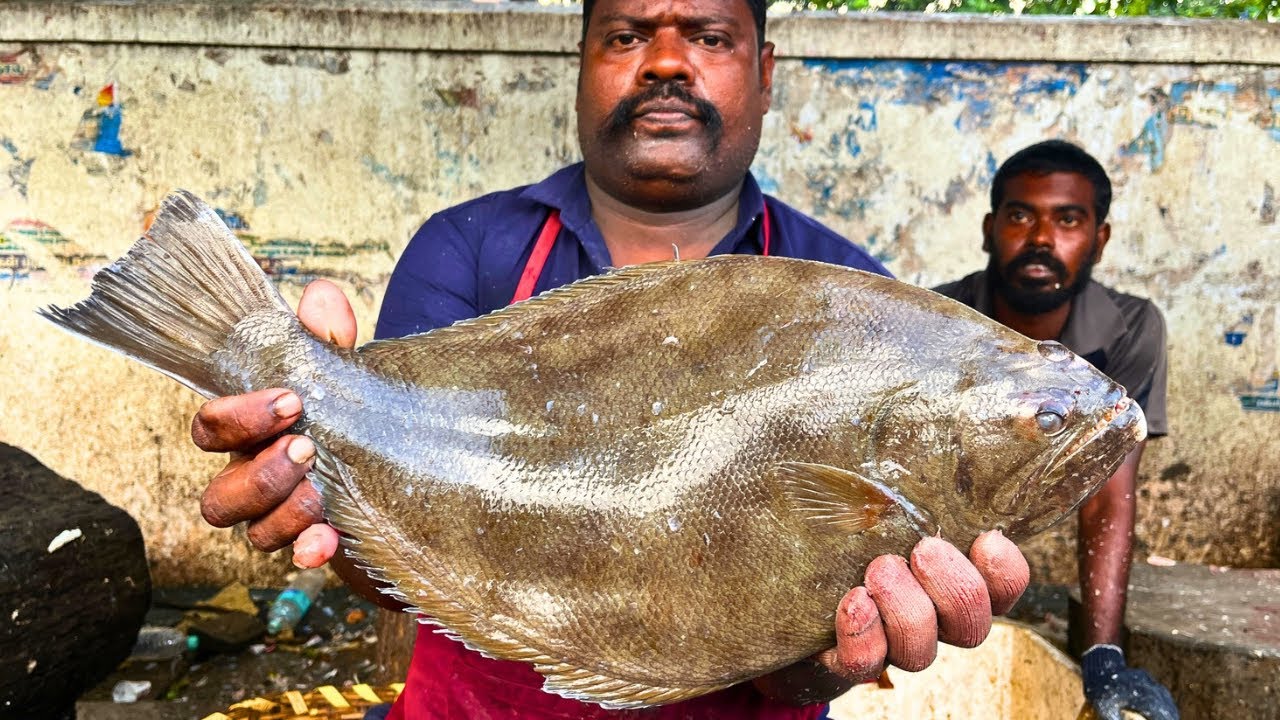 KASIMEDU SPEED SELVAM SOLE NAKKU FISH CUTTING VIDEO \ cutting focus ...