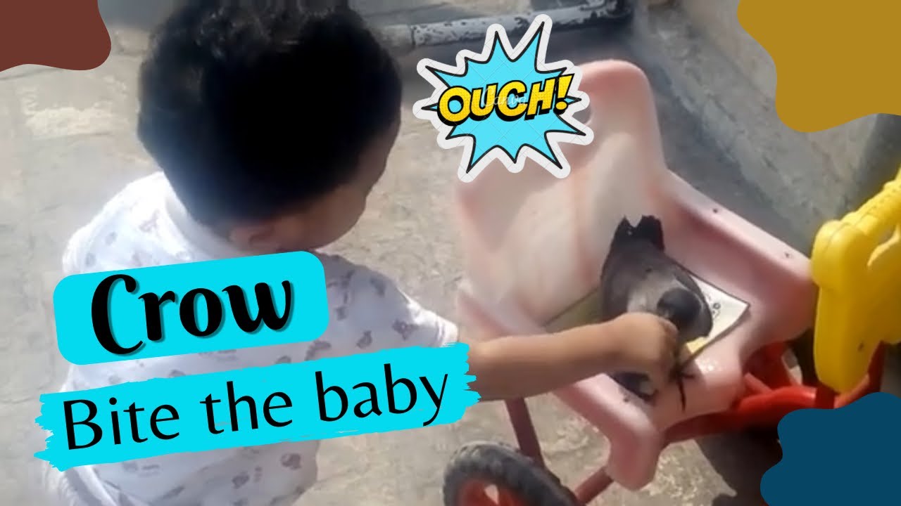 Crow has bite on baby's hand Rehan Talks - YouTube