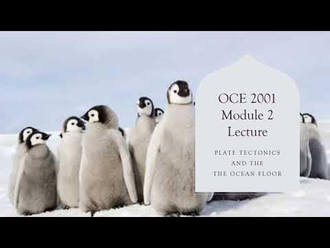 OCE 2001 Module 2 Lecture Video - YouTube