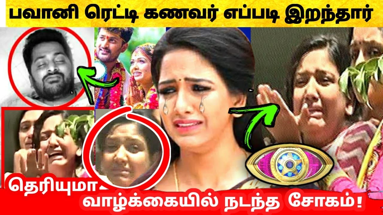 Bigg Boss 5 Tamil - Pavani Reddy Story வாழ்க்கையில் நடந்த சோகம்! Bigg ...