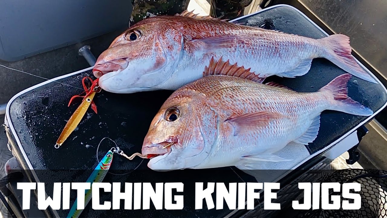 Twitching KNIFE jigs for SNAPPER | SUSTANIABLE FISHING | - YouTube