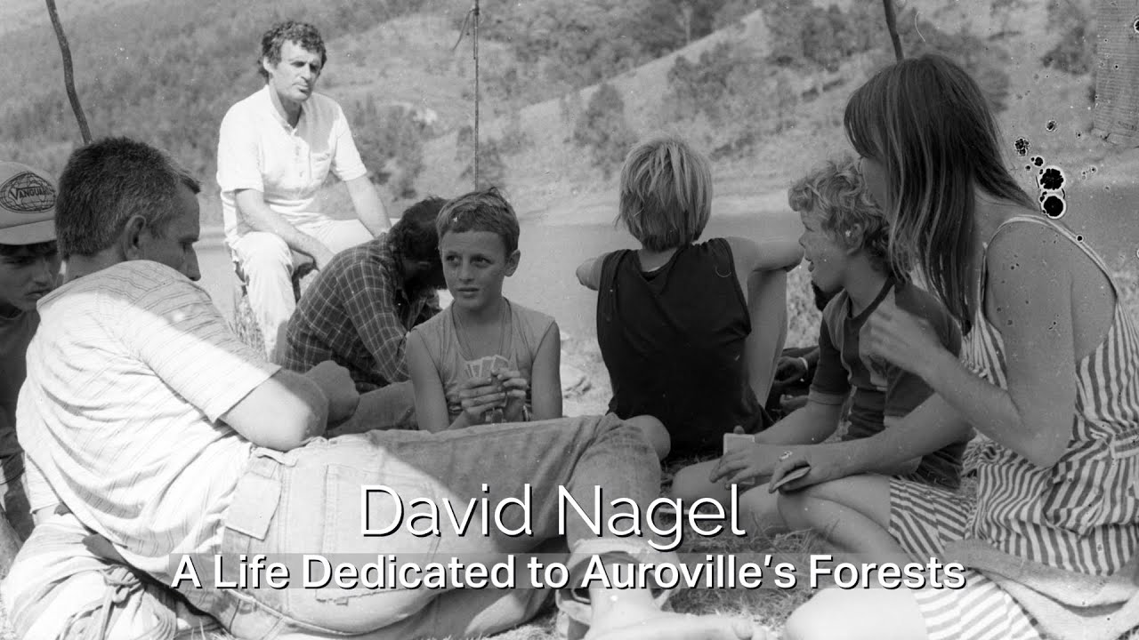 David Nagel, A Life Dedicated to Auroville's Forests - YouTube
