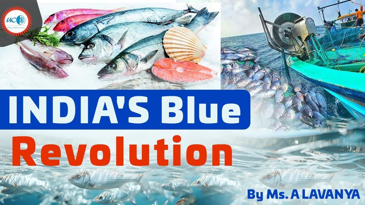 India’s Blue Revolution: Advancing Fisheries for a Sustainable Future ...
