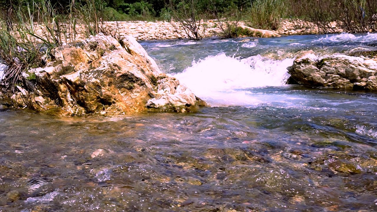 Beautiful Sounds Of Water Stream 60mins | Sounds Of Nature For Deep ...