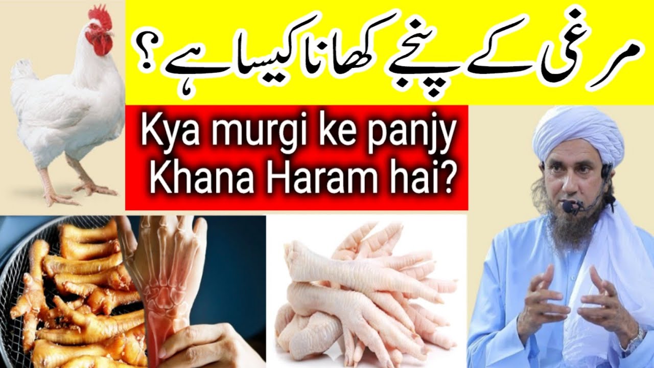 Murgi Ke Panje Khana Kaisa Hai | Haram Ya Halal | Bakre Ke Kapory Khana ...