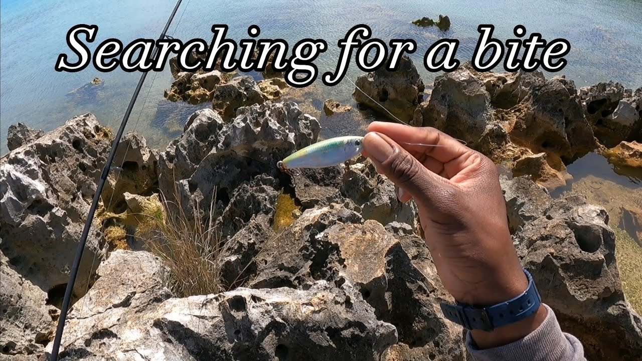 LURE FISHING BERMUDA | making the most of the slow season - YouTube