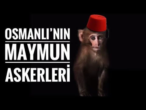 Osmanlı'nın Maymun Askerleri