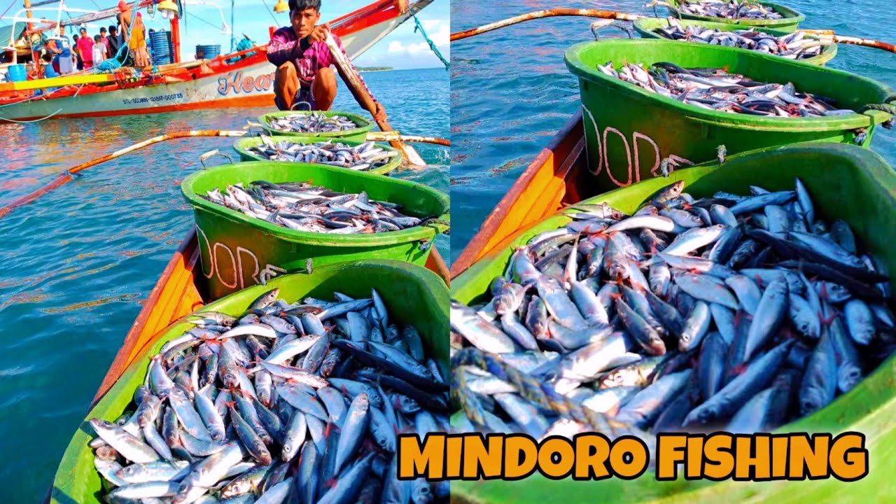 Basnig_jackpot sa Galonggong🐟🐟🐟 - YouTube