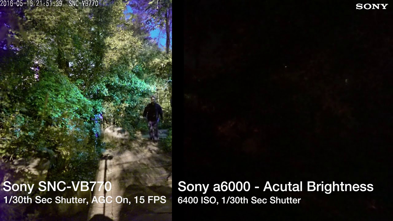 Sony SNC VB770 Dark Wooded Path - YouTube