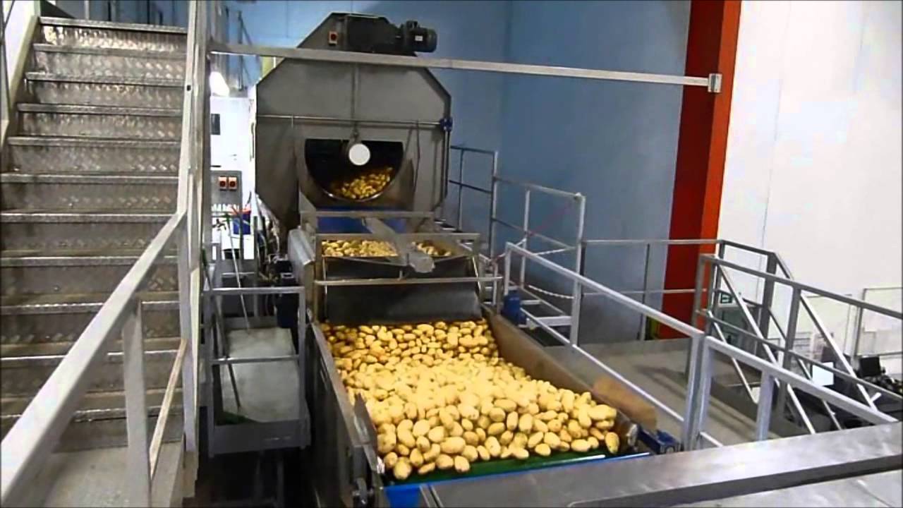 Haith - Potato washing & Packing - YouTube