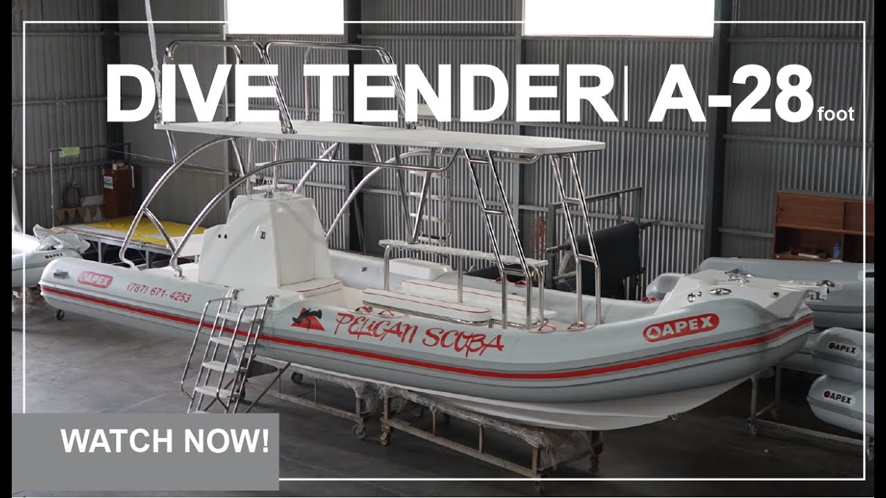APEX BOATS - The best dive boat - Fully custom built for Pelican Scuba ...