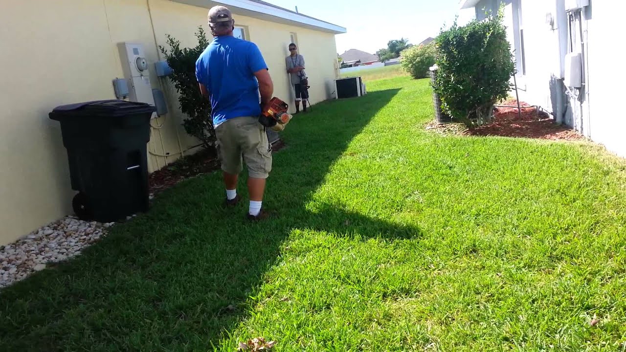 Wasp killing landscape style FAIL - YouTube