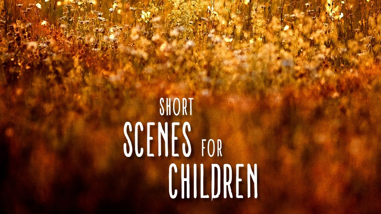 Short Scenes For Children — 05. Droplets - YouTube