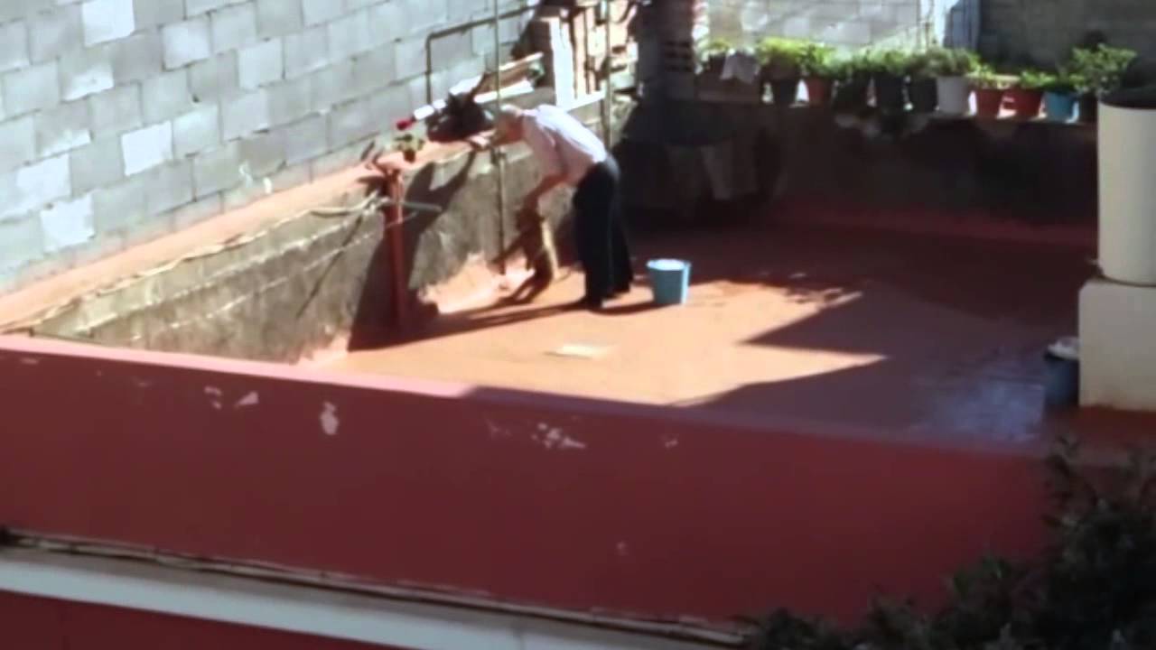 PERRO AZOTEA - YouTube