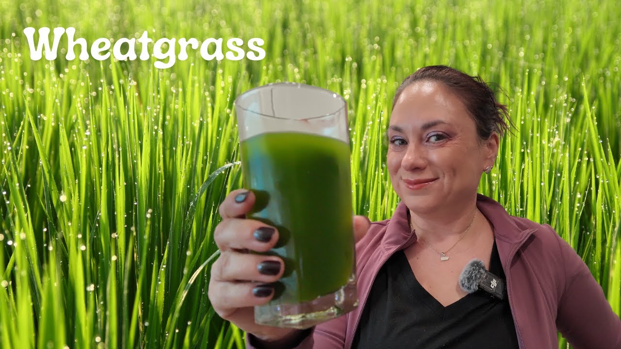 Wheatgrass Juice Drink how to open and prepare. @DynamicGreens - YouTube
