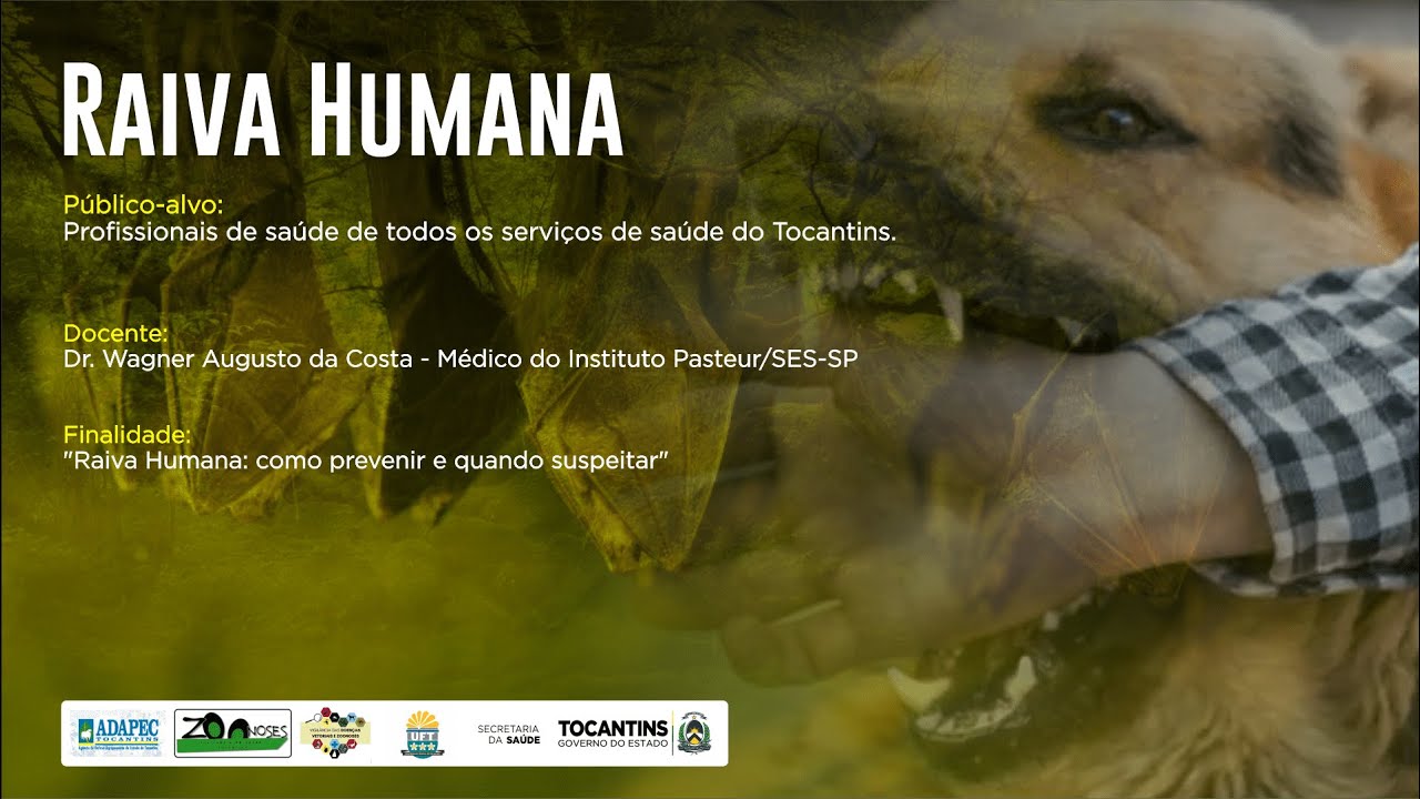 Raiva humana: doença e profilaxia - YouTube