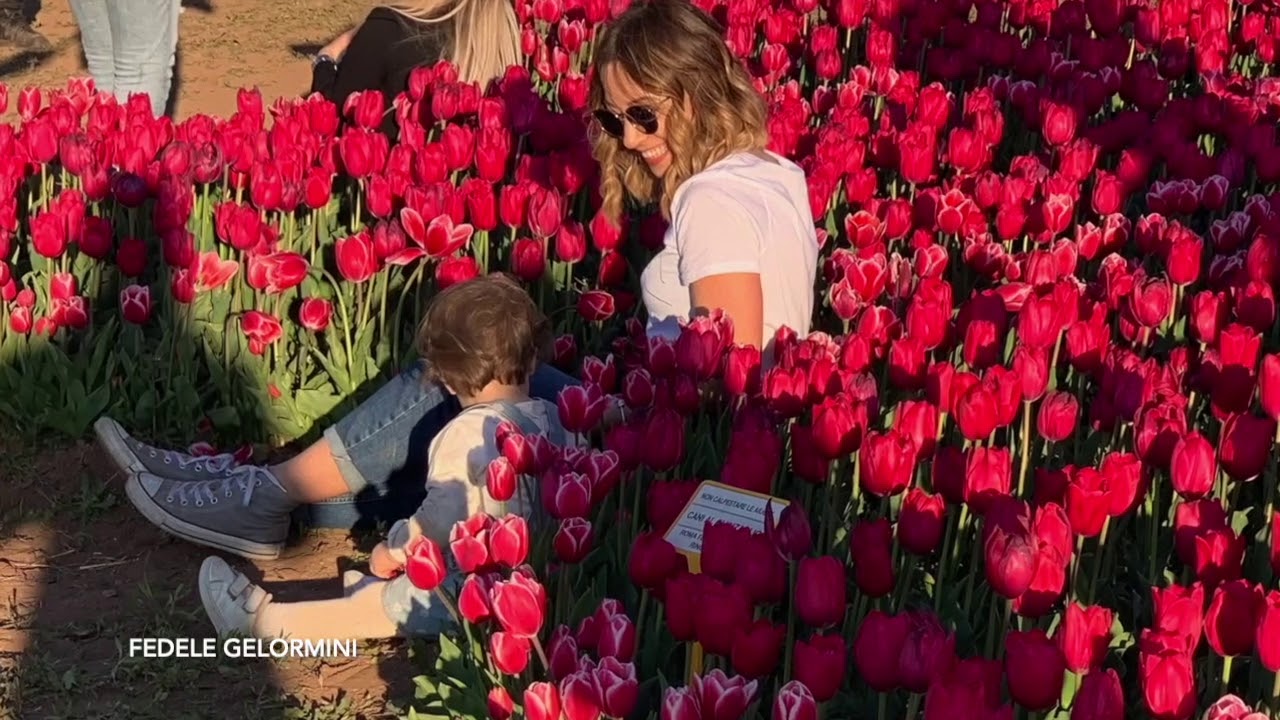 Roma flowers park - YouTube