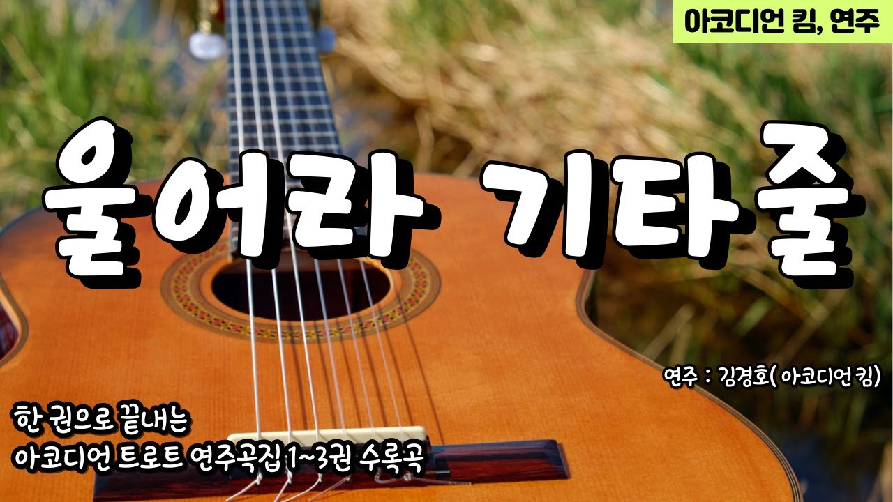 김경호아코디언 킴 울어라 기타줄 아코디언 아코디언연주 Accordion 아코디언킴 아코디언울어라기타줄 울어라