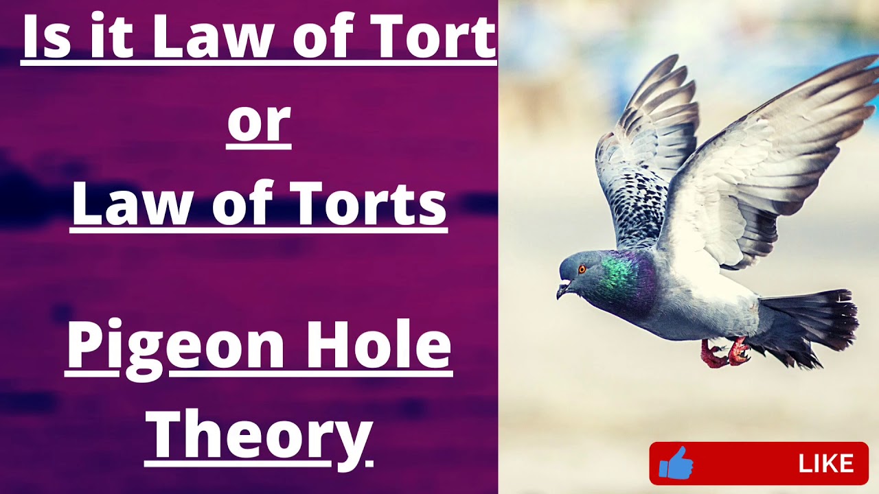 Is it law of tort or law of torts|| Pigeon hole Theory|| by Padmanabh ...