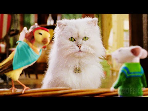 Las mejores escenas de Snowbell en Stuart Little 2 🌀 4K