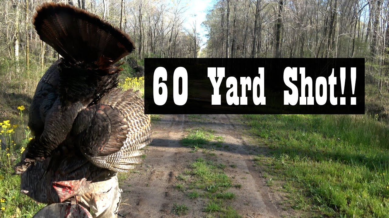 50 YARD CRAWL on a Mississippi Gobbler??? - YouTube