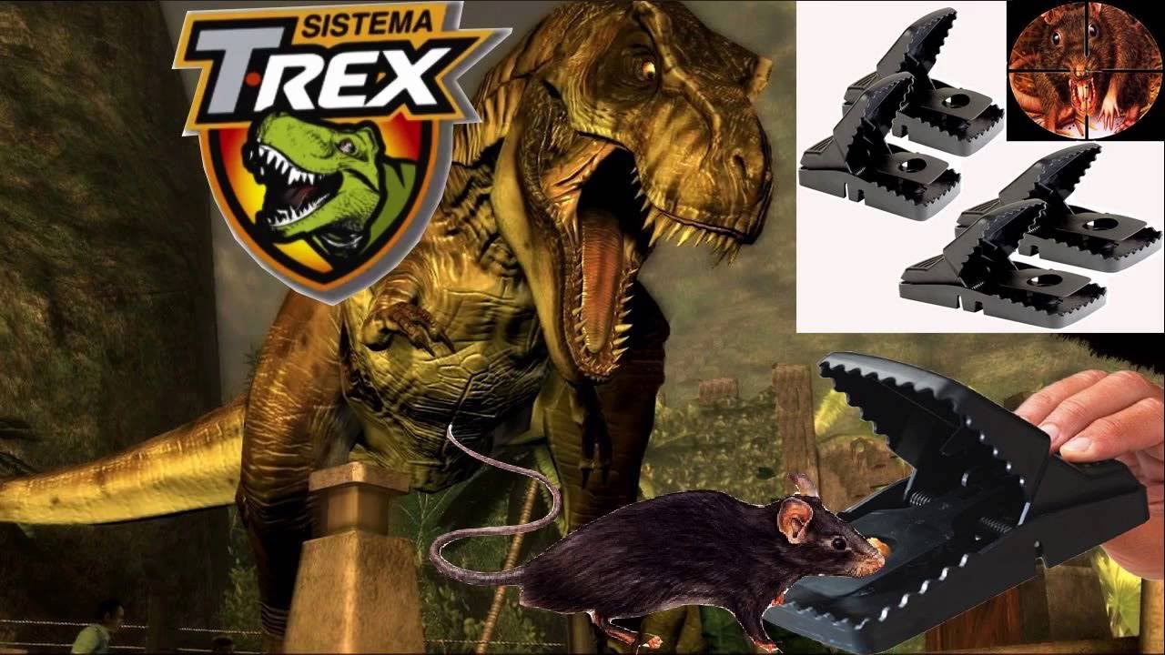 Trampas para ratas tipo T-REX - YouTube