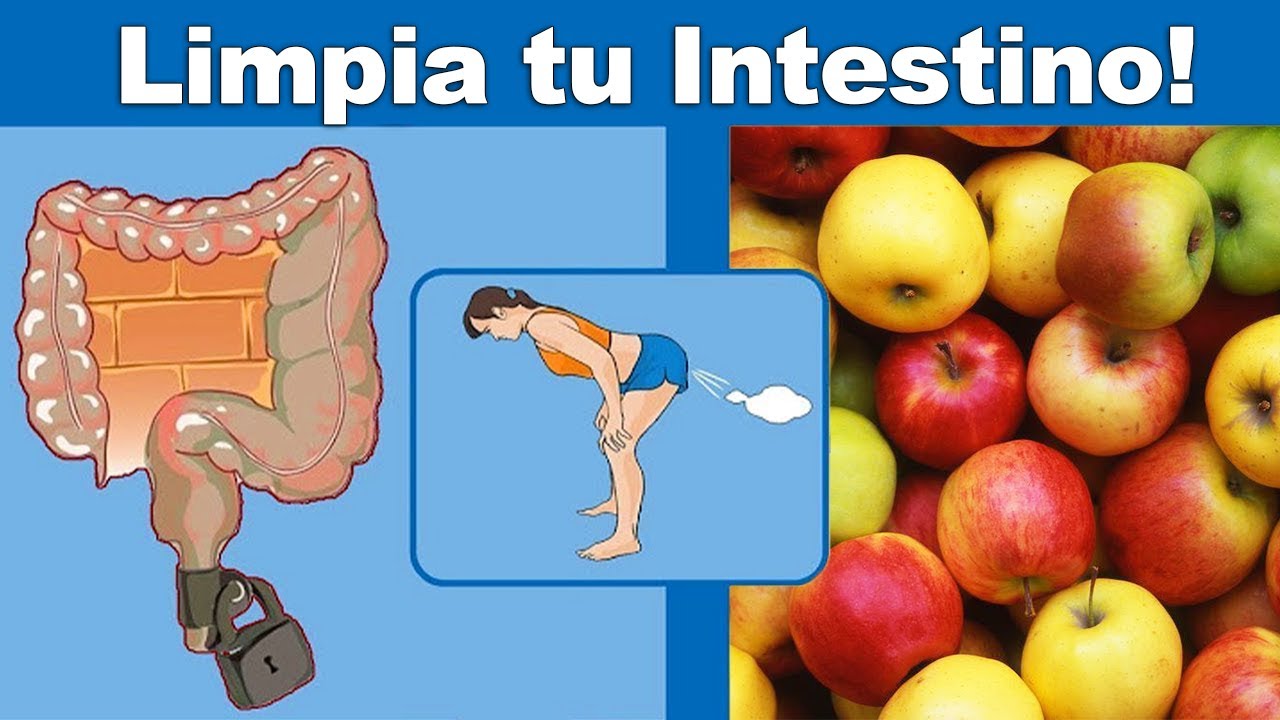 👉 Con estos 5 ALIMENTOS podrás LIMPIAR TUS INTESTINOS y ALIVIAR EL ...