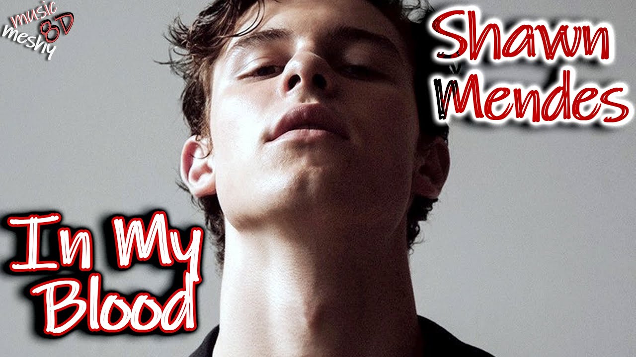 Shawn Mendes - In My Blood (8D Audio) 🎧 - YouTube