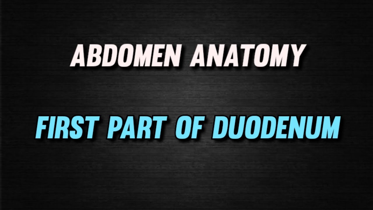 DUODENUM | FIRST PART OF DUODENUM | ABDOMEN ANATOMY | BDC | ft.xenos ...