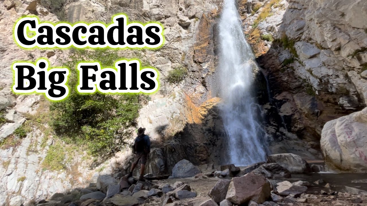 Flores Y Cascadas Selva, Flores, Mariposas, Cascada Rompecabezas En