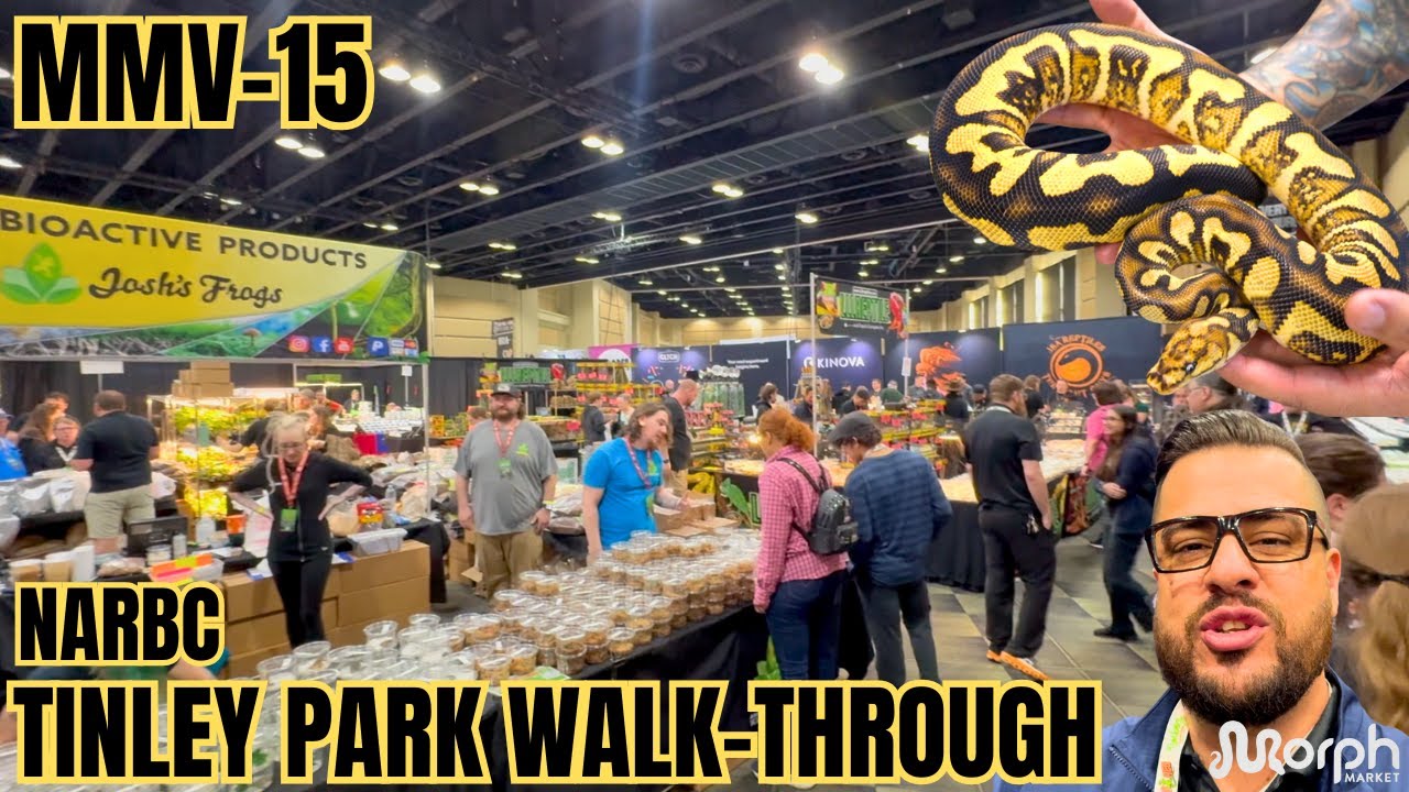 Tinley Park NARBC 2025 Reptile Show Walkthrough | MorphMarket Vlog-15 - YouTube